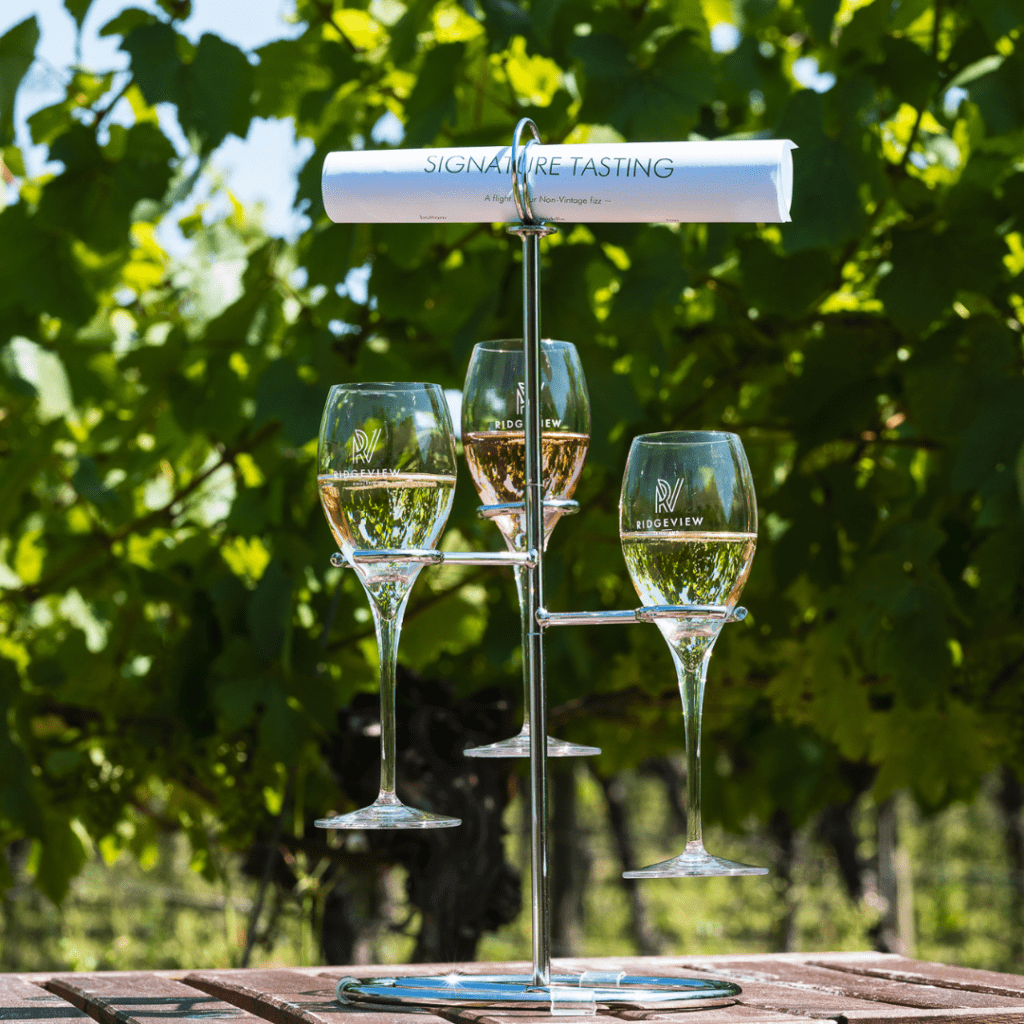 Vineyard Experiences – A Place for Everyone - Ridgeview - English ...