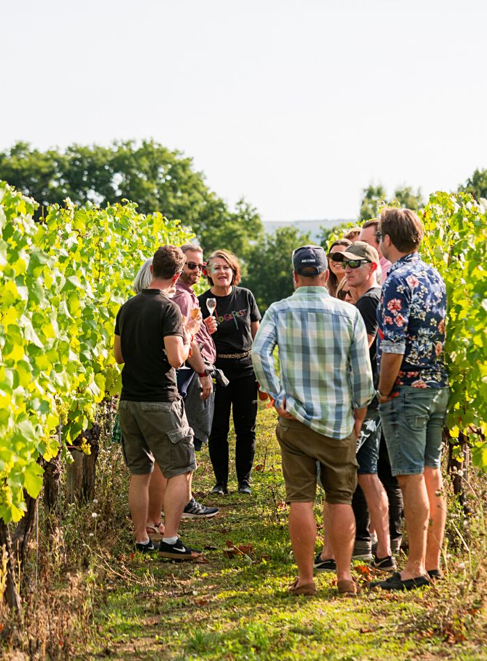 Opening Hours - Ridgeview