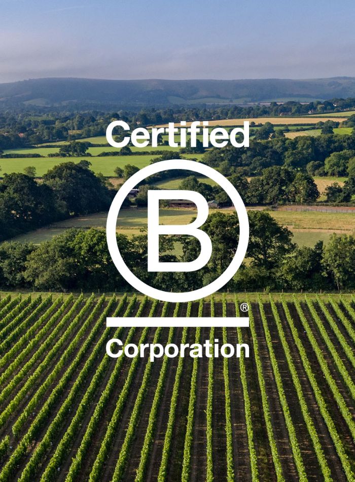 Sustainable & Ethical Practices - Ridgeview - English Sparkling Wine ...