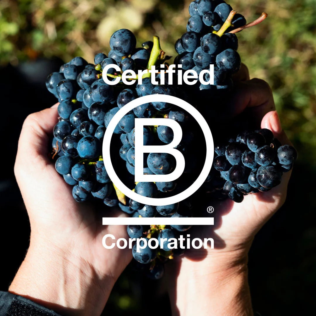 Ridgeview B Corp Impact Report 2023 - Ridgeview