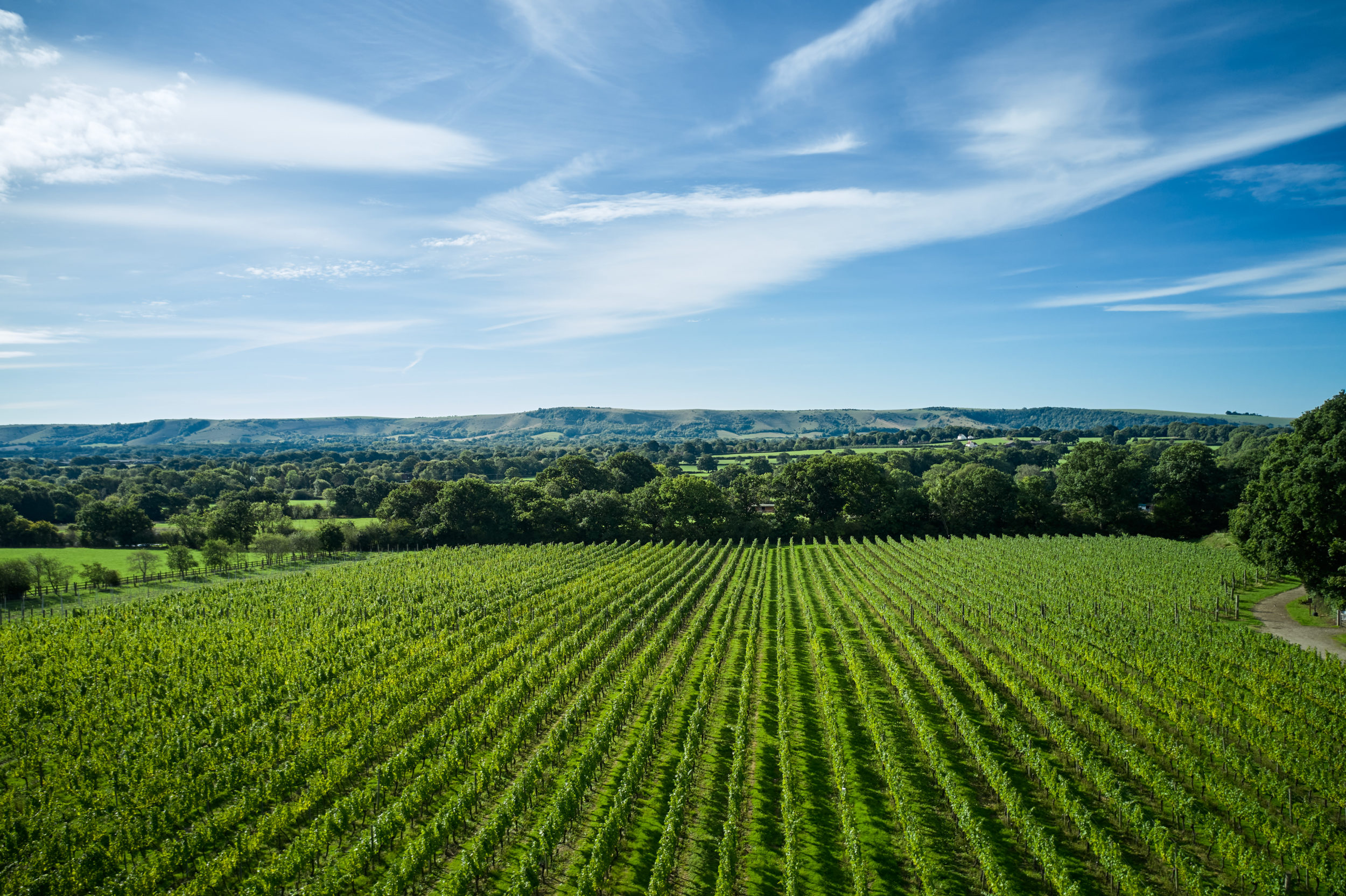 Tour and Tasting Experiences - Ridgeview - English Sparkling Wine from ...