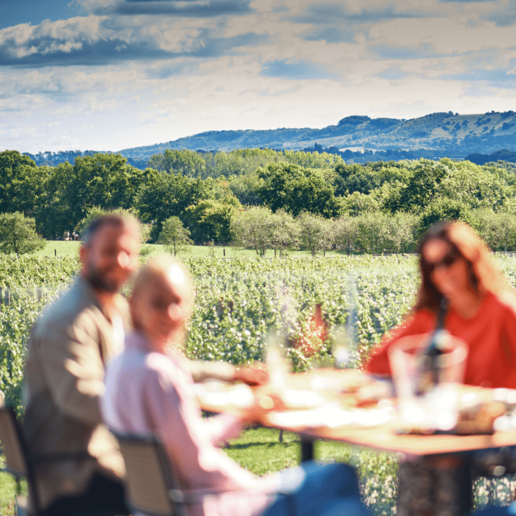 Gift Voucher Terms and Conditions - Ridgeview - English Sparkling Wine ...