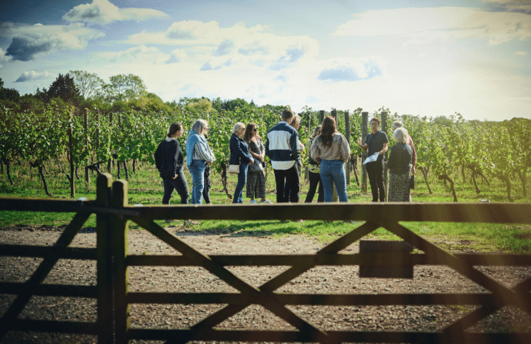 Tour and Tasting Experiences - Ridgeview - English Sparkling Wine from ...