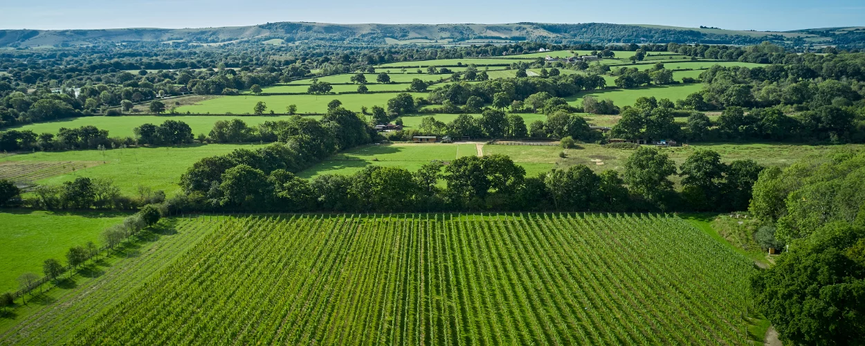 Opening Hours - Ridgeview - English Sparkling Wine from East Sussex