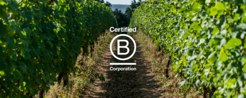 Careers at Ridgeview - Ridgeview